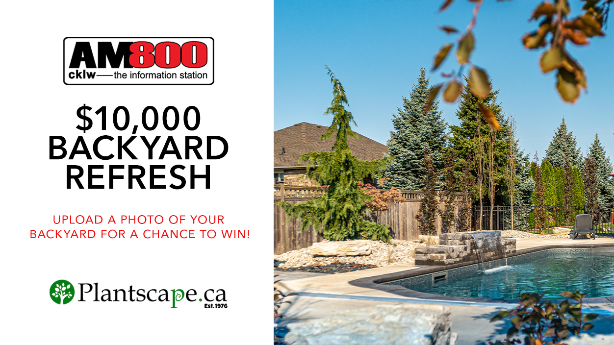 AM800's $10,000 Backyard Refresh 2024