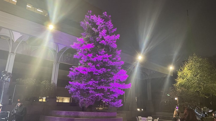 Hiatus House to illuminate tree purple in honour of Women Abuse ...