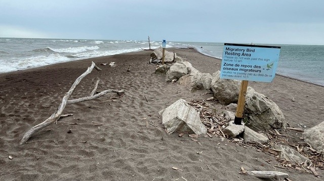 Point Pelee National Park reopens to visitors