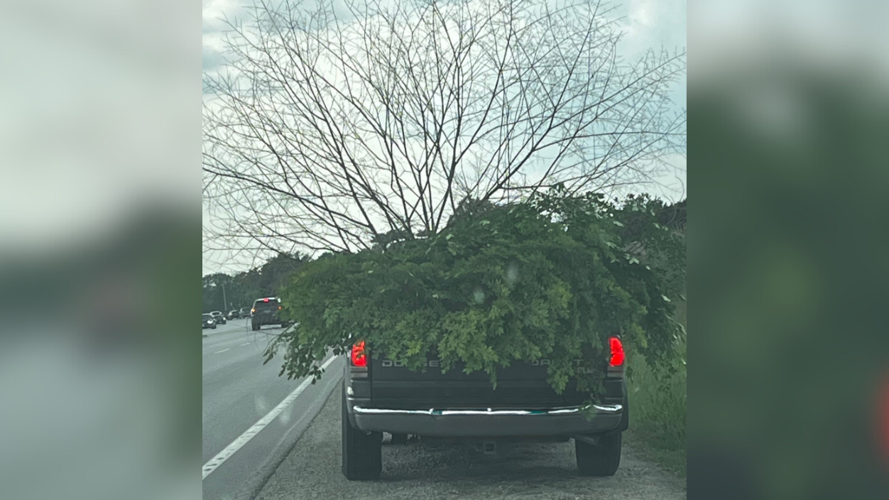 Windsor driver charged for insecure load