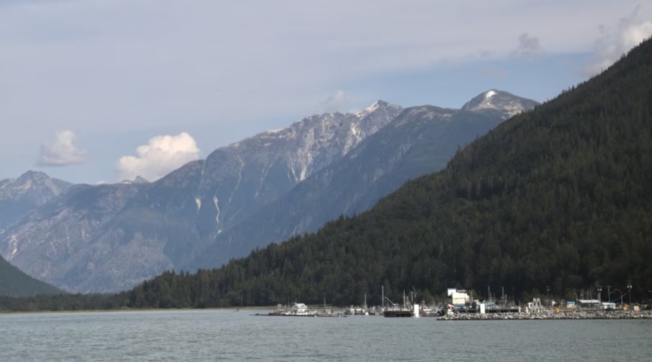 Grizzly attack hurts 11, some critically, including students, in Bella ...