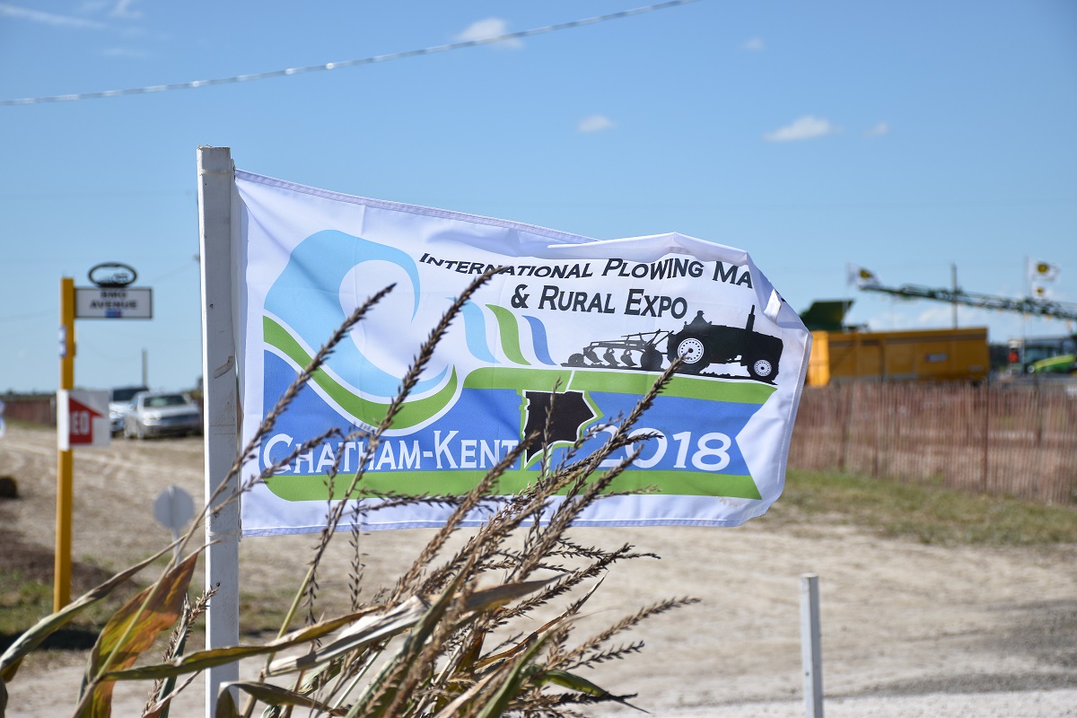 IPM Takes Over Pain Court