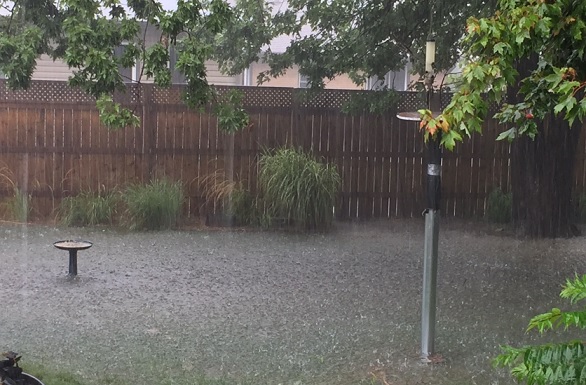 Flood Anniversary Comes with Reminder to Homeowners