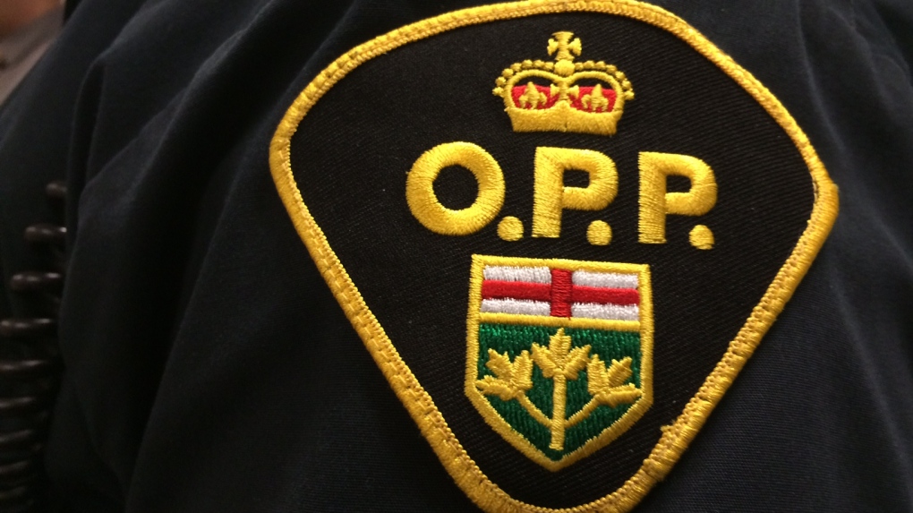 OPP investigating theft incident in Leamington